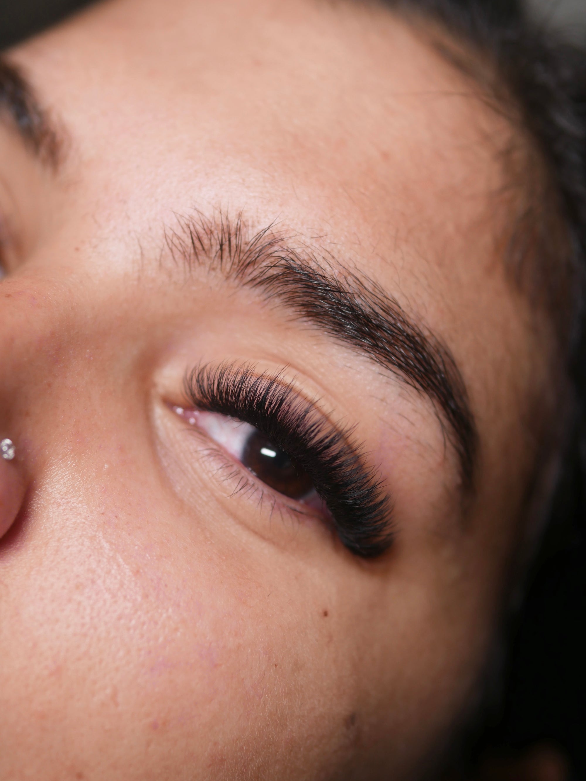 Your One-Stop Shop for High-End Lash Products – Face by Z